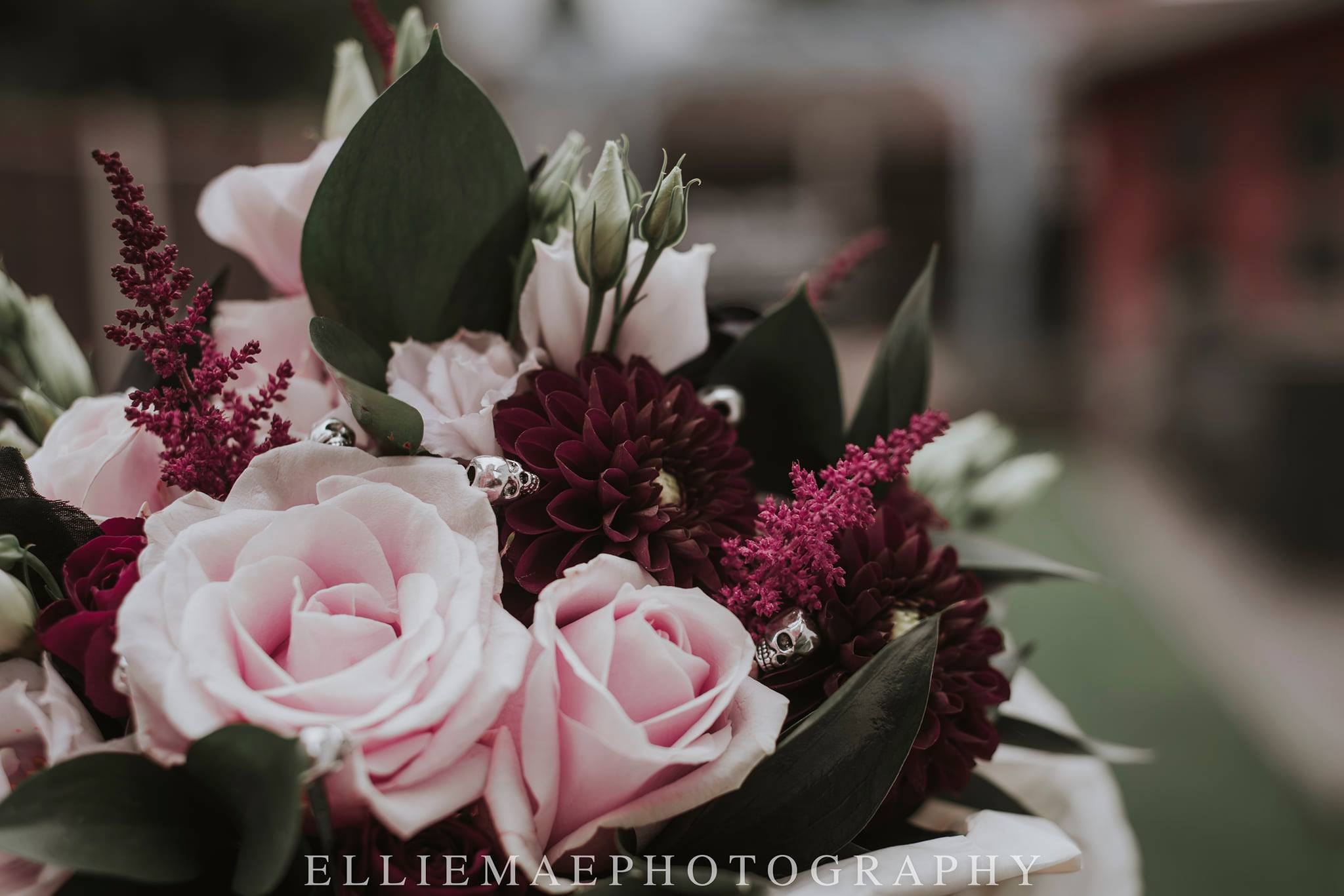 Ellie Mae Photography Home Facebook