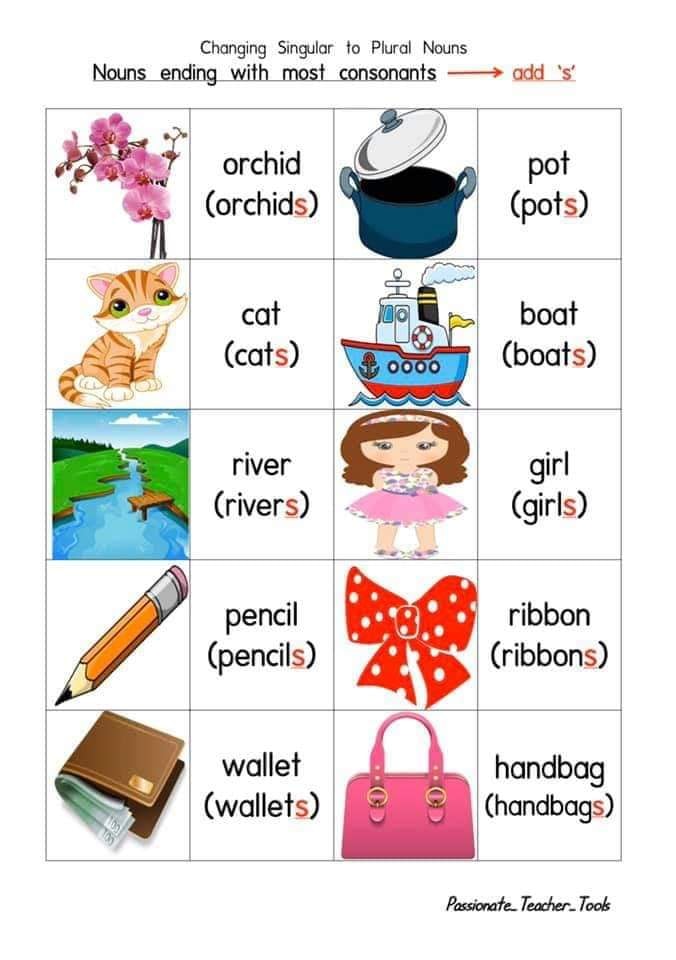 Changing singular to plural Nouns - English World Institute | Facebook