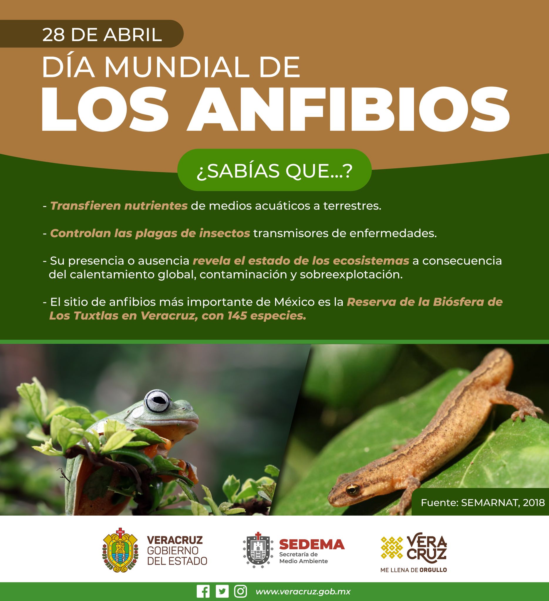 Día Mundial de... - Secretaría de Medio Ambiente de Veracruz