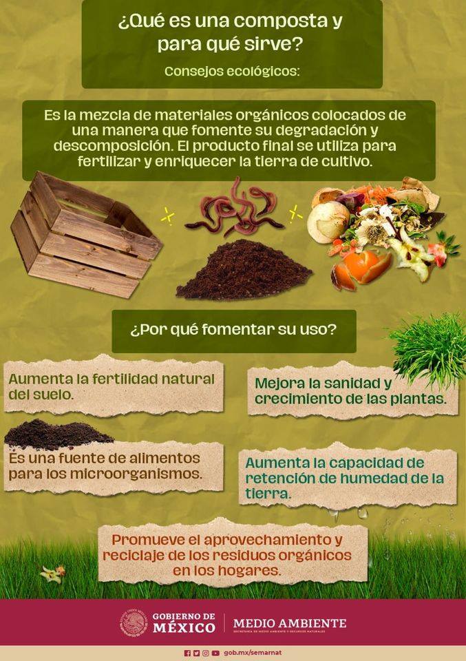 ¿sabes Qué Es Una Composta Y Sana Sana • Veggie And Vegan Facebook