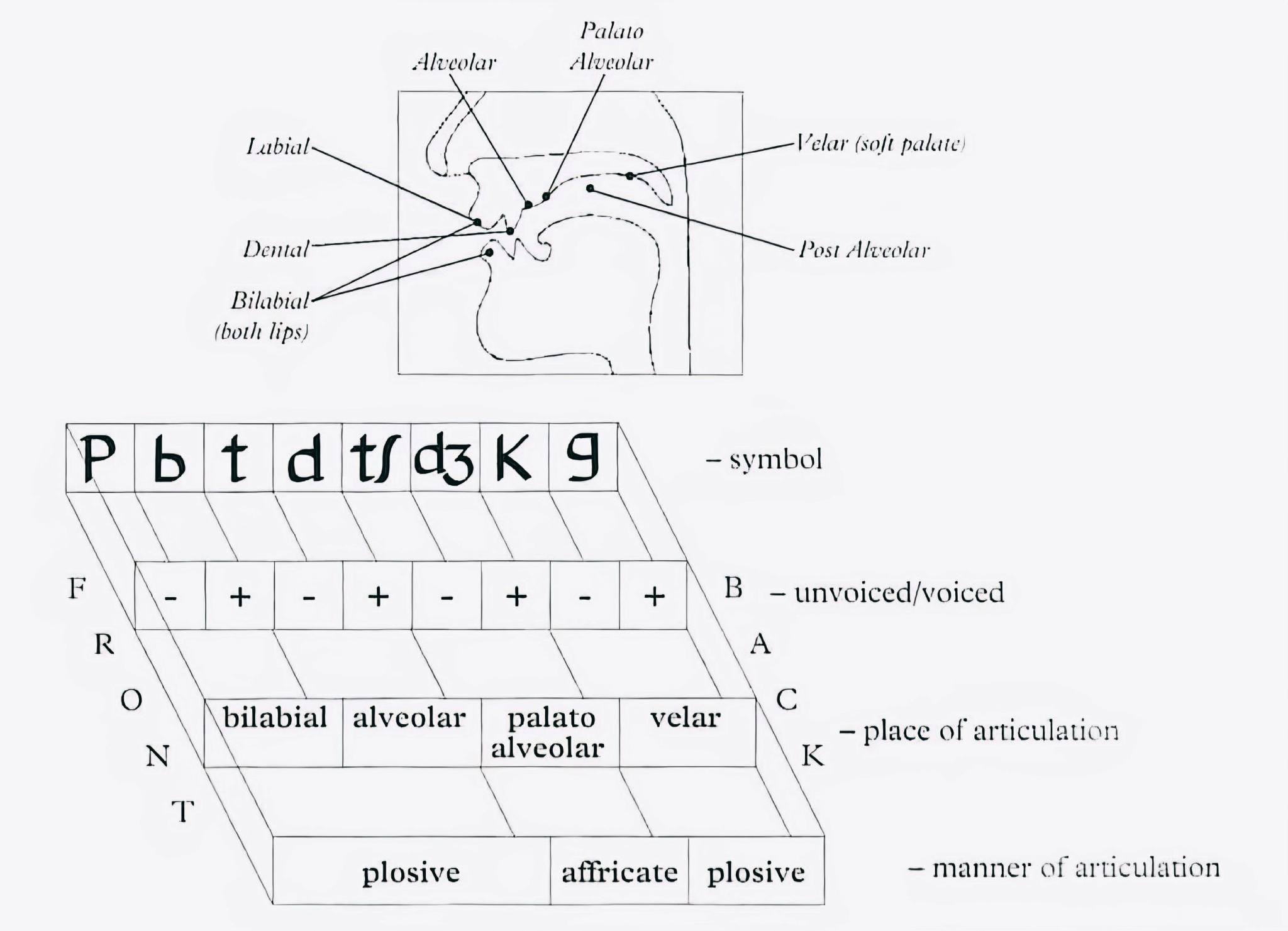 Abanoub Aziz - لمُعلمي اللغة الإنجليزية -- وحدة الصوتيات... | Facebook
