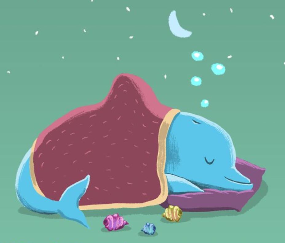 Chollas Mead Elementary School Fun Fact Friday 🐬 Dolphins Sleep Eight