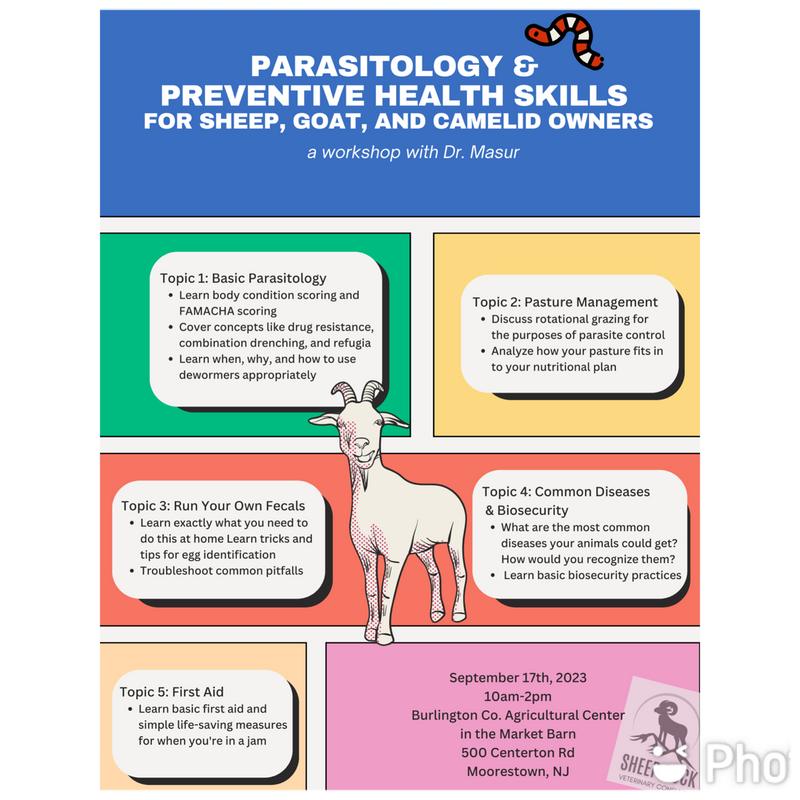 A little less... - Sheep Rock, LLC: Veterinary Consulting