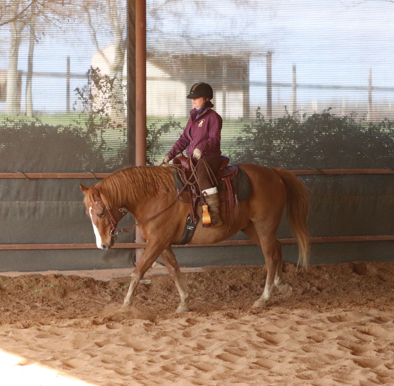 Bridled Passion Dressage Cleburne Tx