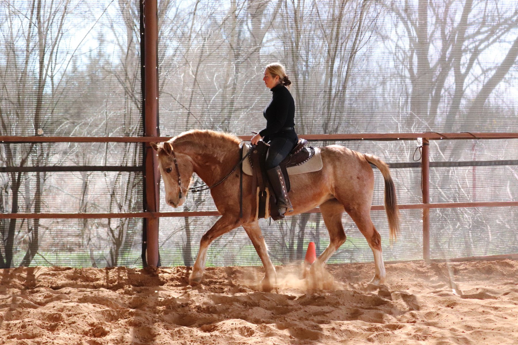 Bridled Passion Dressage Cleburne Tx