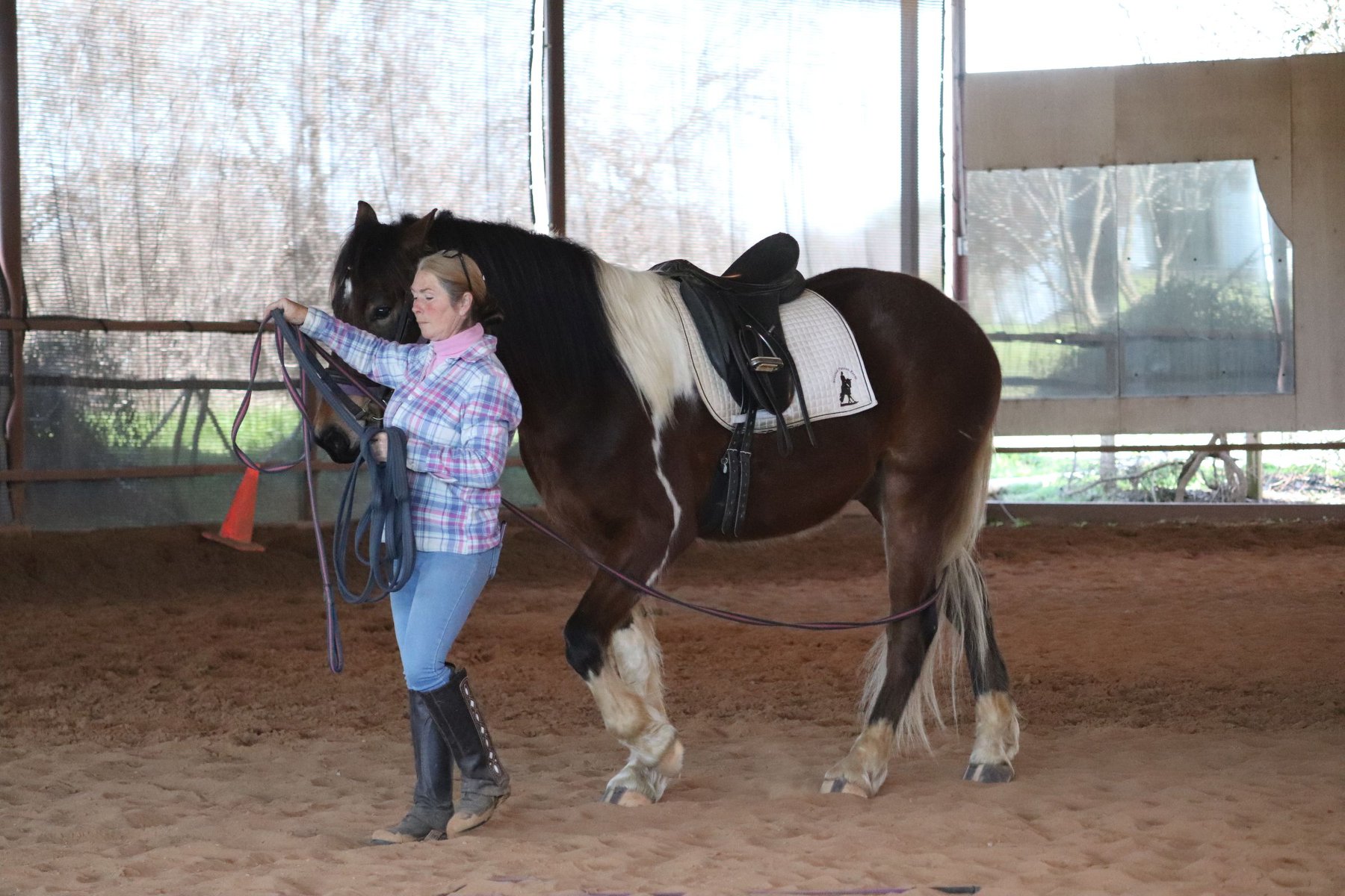 Bridled Passion Dressage Cleburne Tx