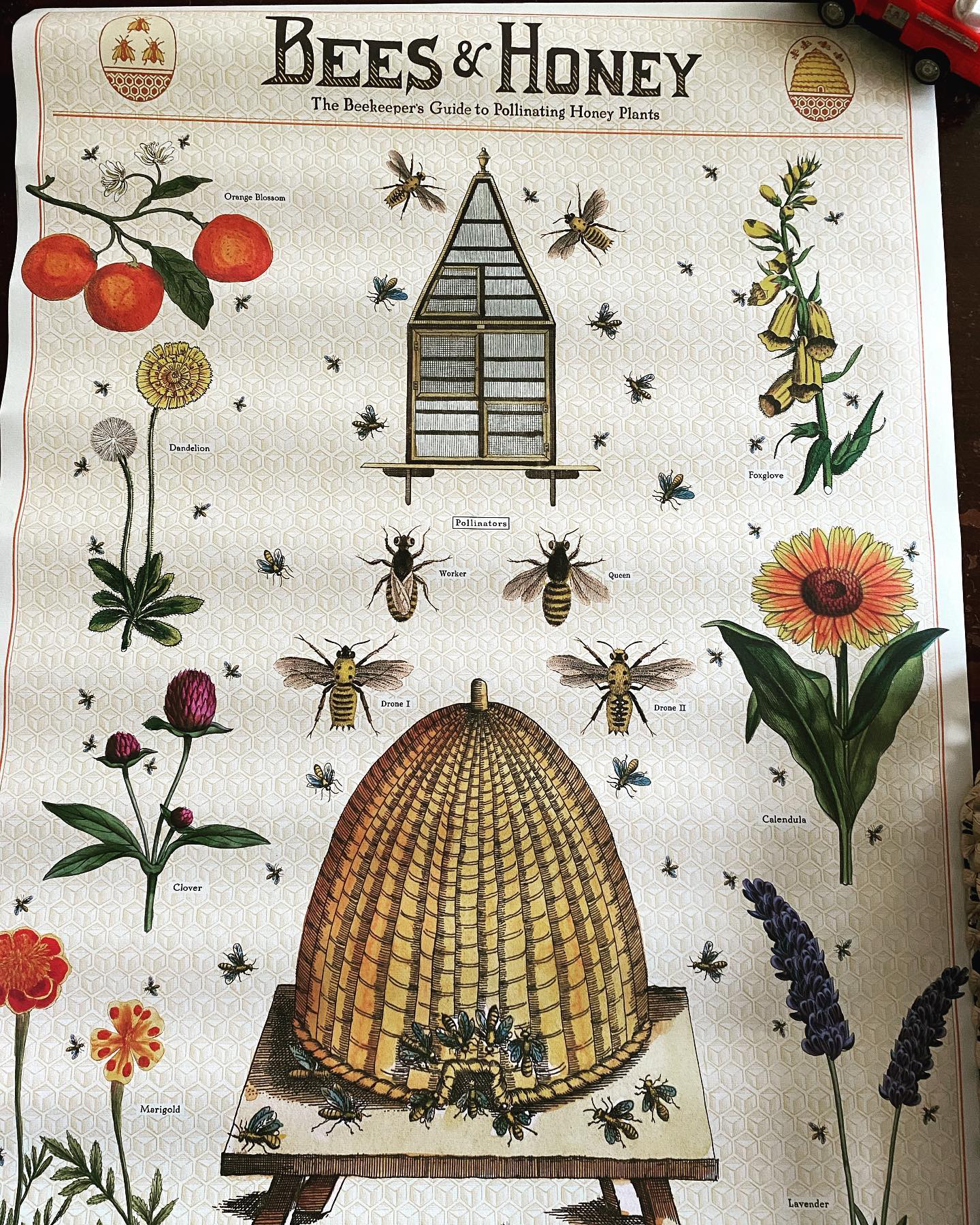 New poster for home. Bees 🐝 & Honey 🍯... - The Beehive Saver