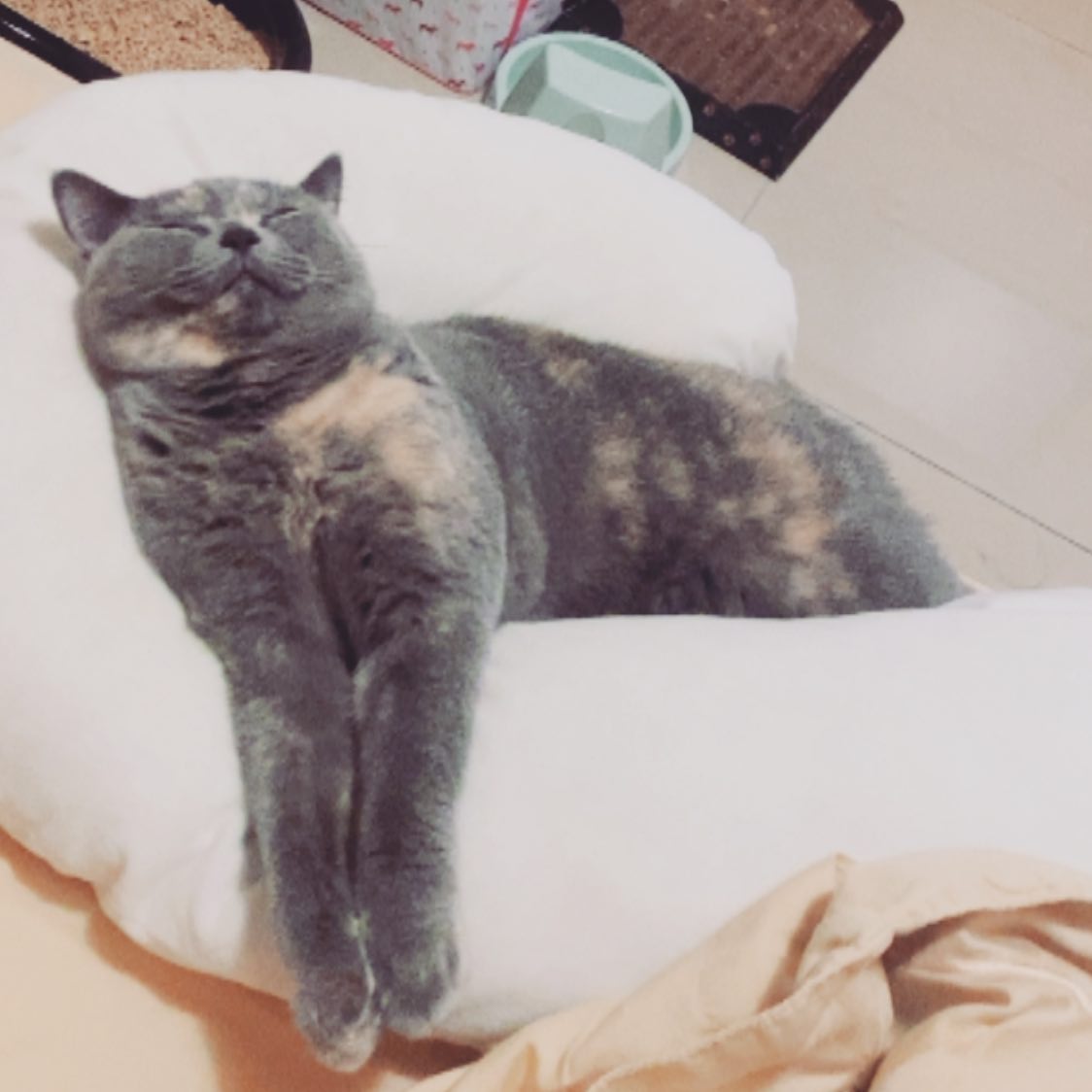 Nanaandteddy