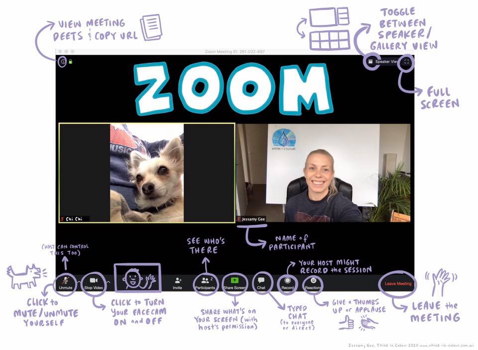 Think in Colour - Simple Zoom cheat sheet - feel free to... | Facebook