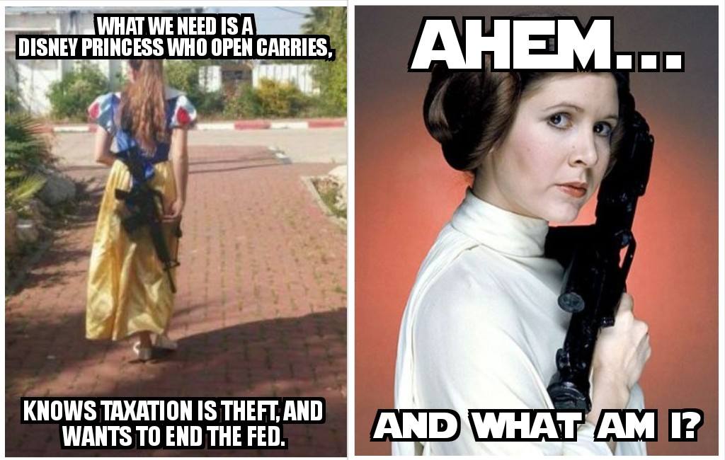 Disney Princess Meme Leia