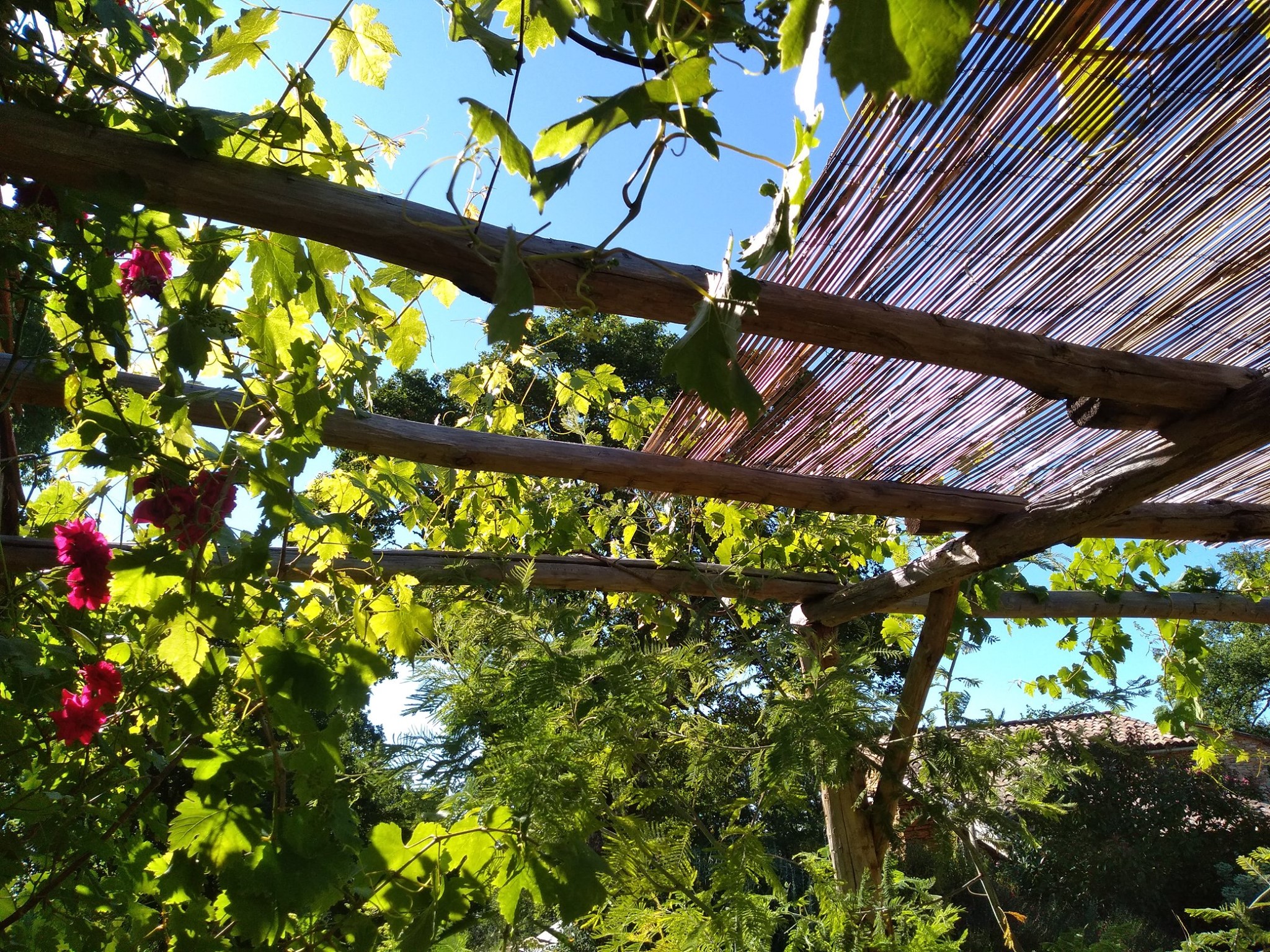 Les Jardins Capucines | Campagnac-lès-Quercy