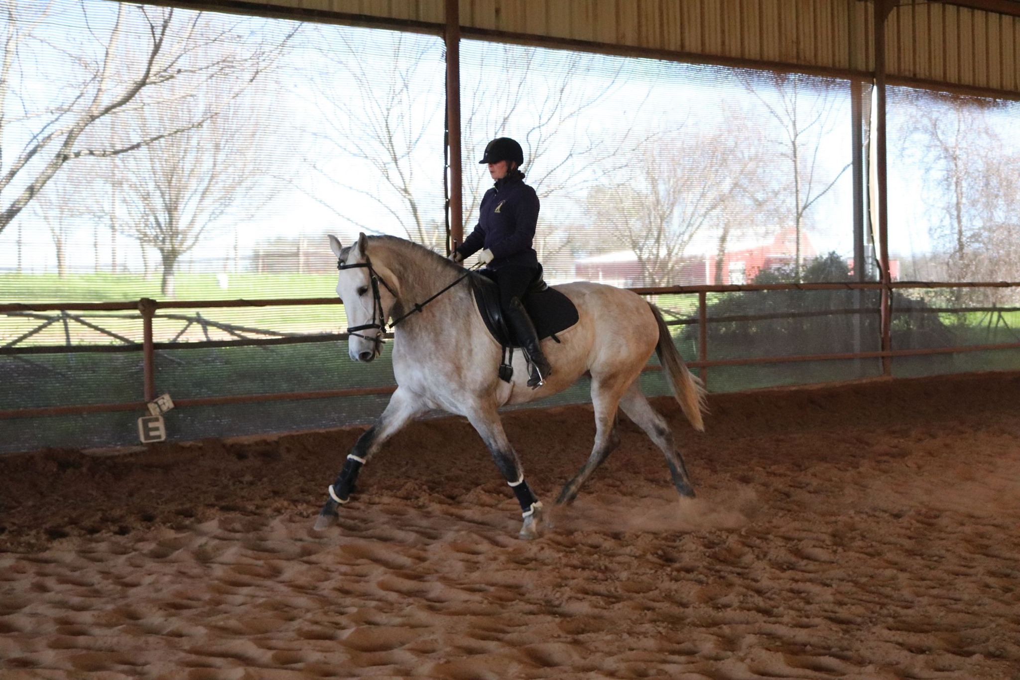 Bridled Passion Dressage Cleburne Tx