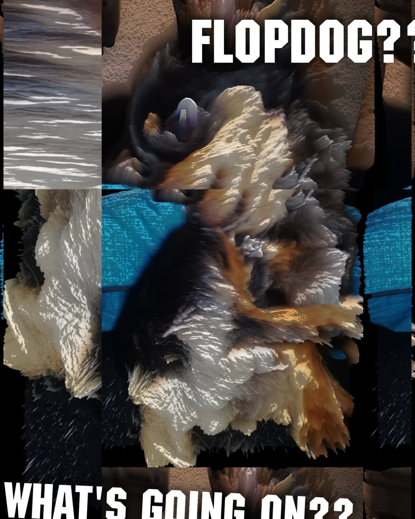 Léolol Léolol Added A New Photo
