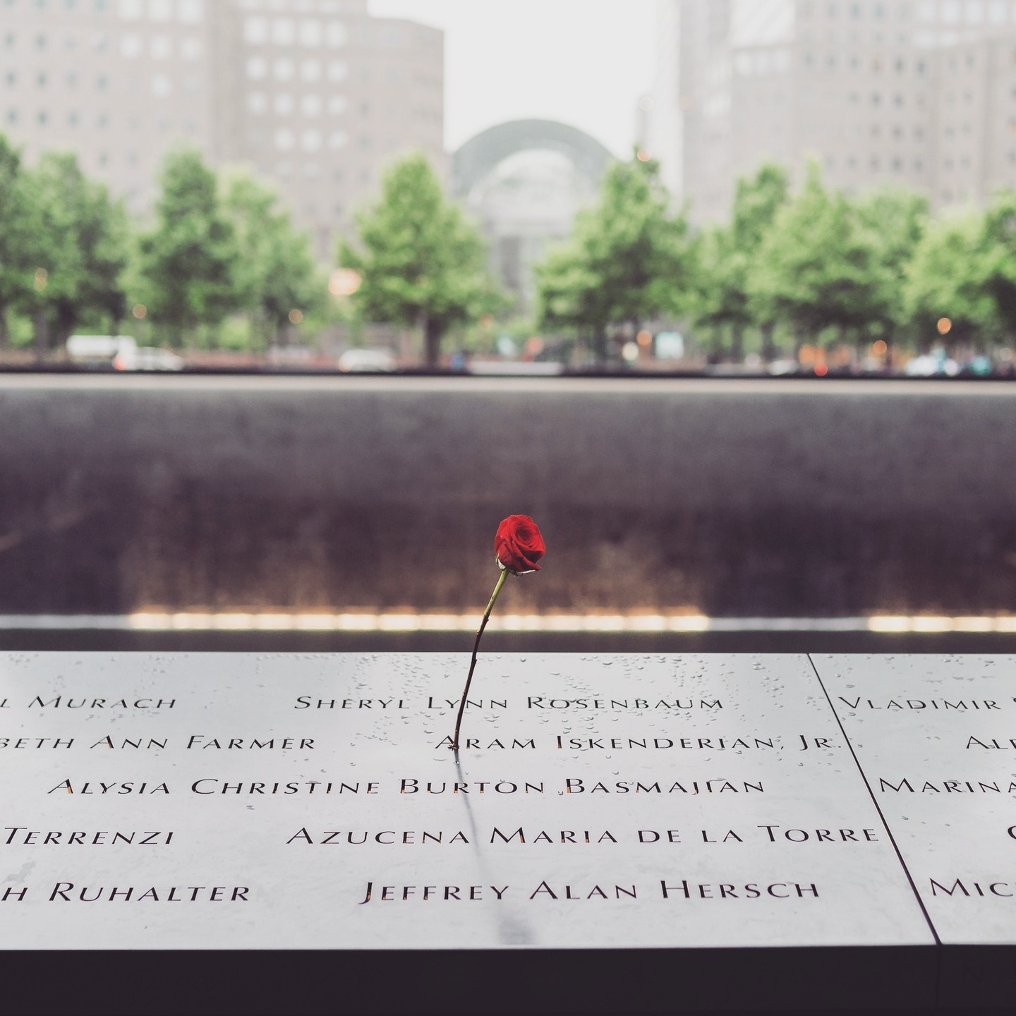 Roosters - ☕🇺🇸 Remembering 9/11: A Day of Reflection 🇺🇸☕ Today, as we ...
