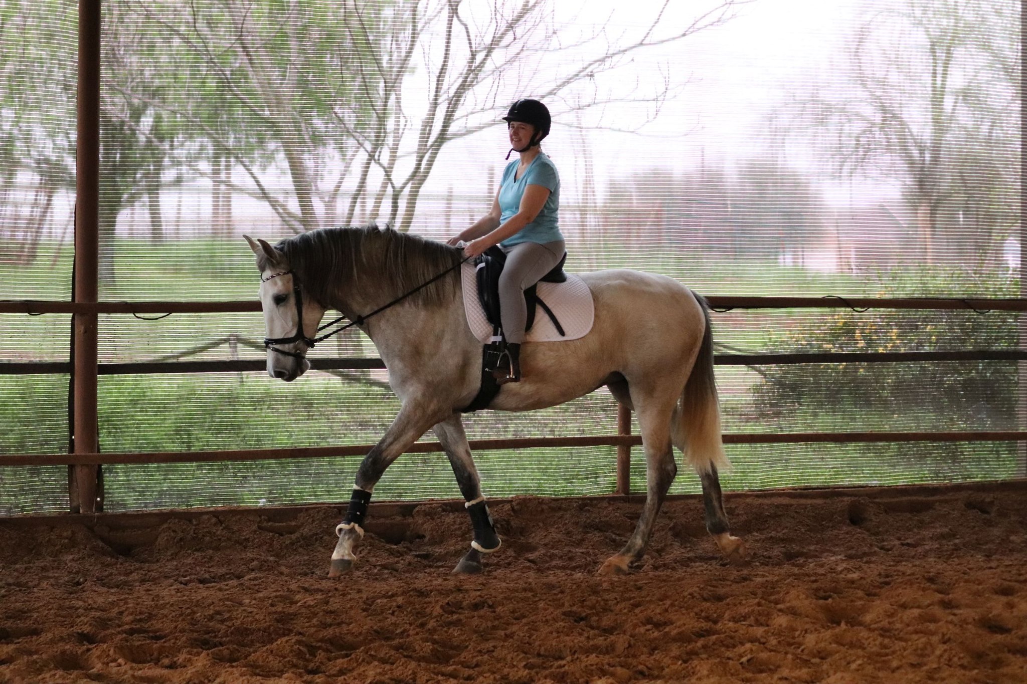Bridled Passion Dressage Cleburne Tx
