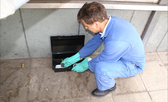 Great Description About Joe Blue Pest Control