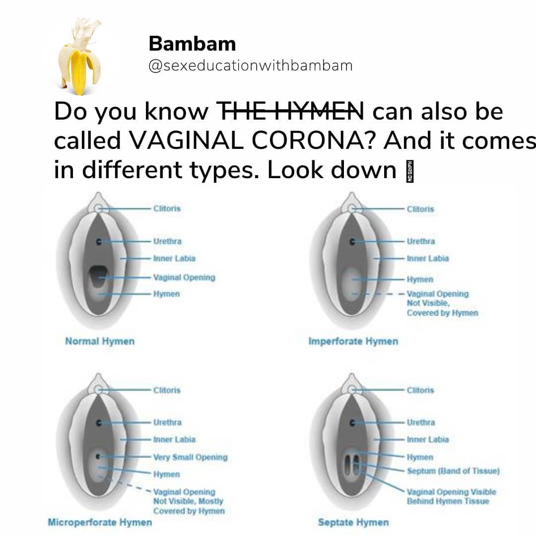 The Hymen Is A Thin Layer Sex Education With Balmbam