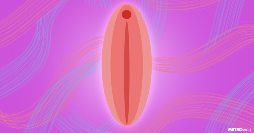 Sex Toy Central What Is A Vagina Quotient And How Does Facebook