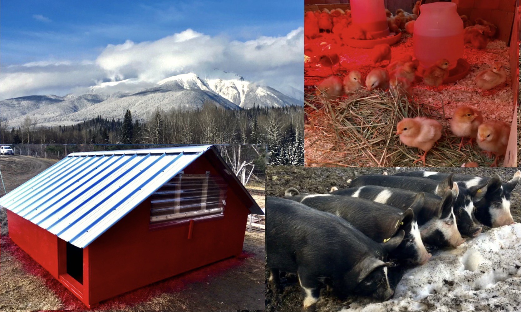 Grazing Patch Farm | McBride BC