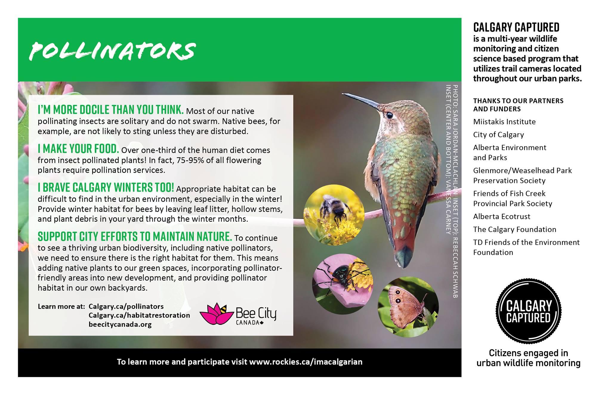 Calgary Parks - Bee a good neighbour to our local pollinators. We all ...