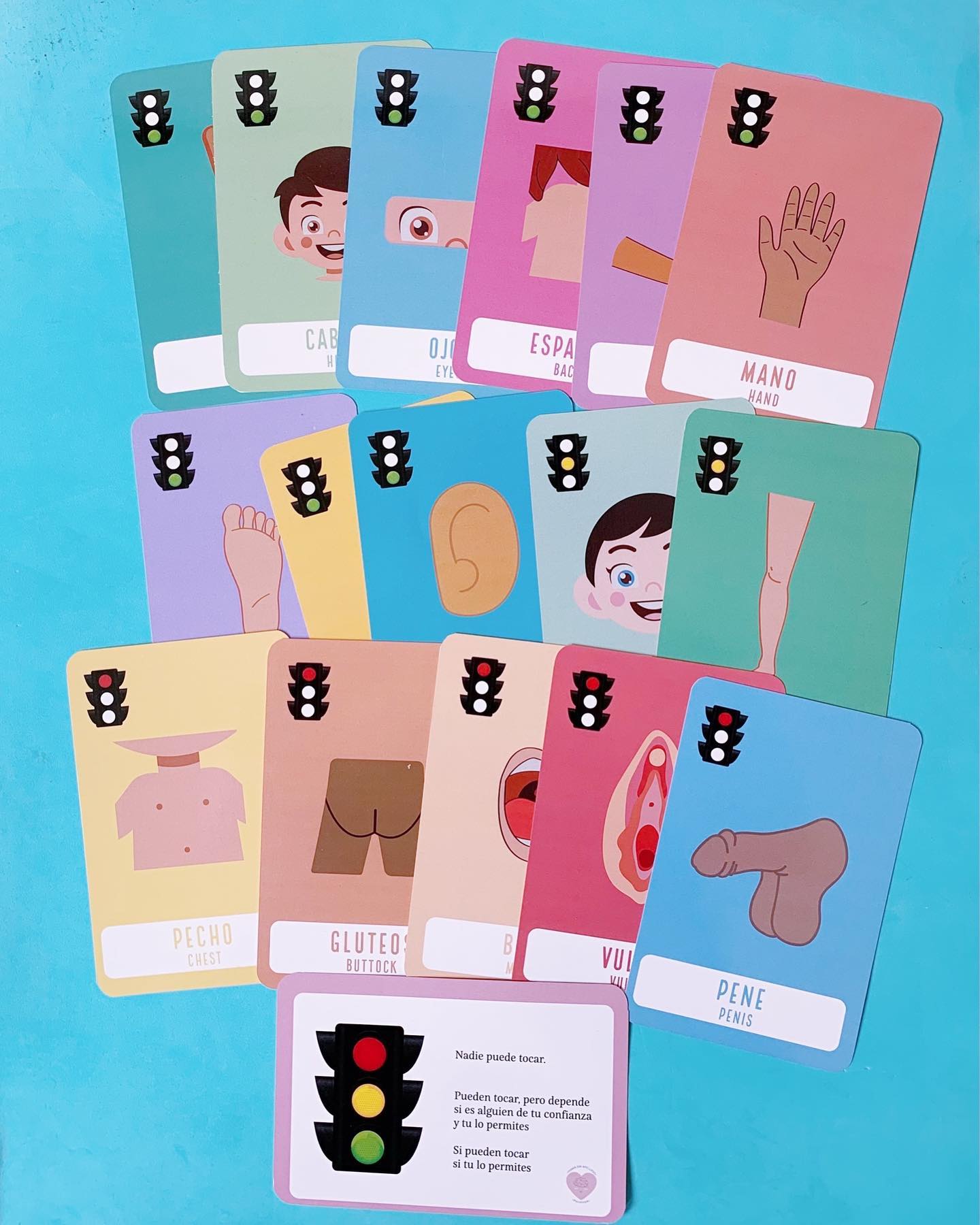 FlashCards Mi cuerpo: Diseñadas para... - Libros pedagogicos | Facebook
