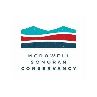 🌸 The Sonoran Desert’s... - McDowell Sonoran Conservancy | Facebook