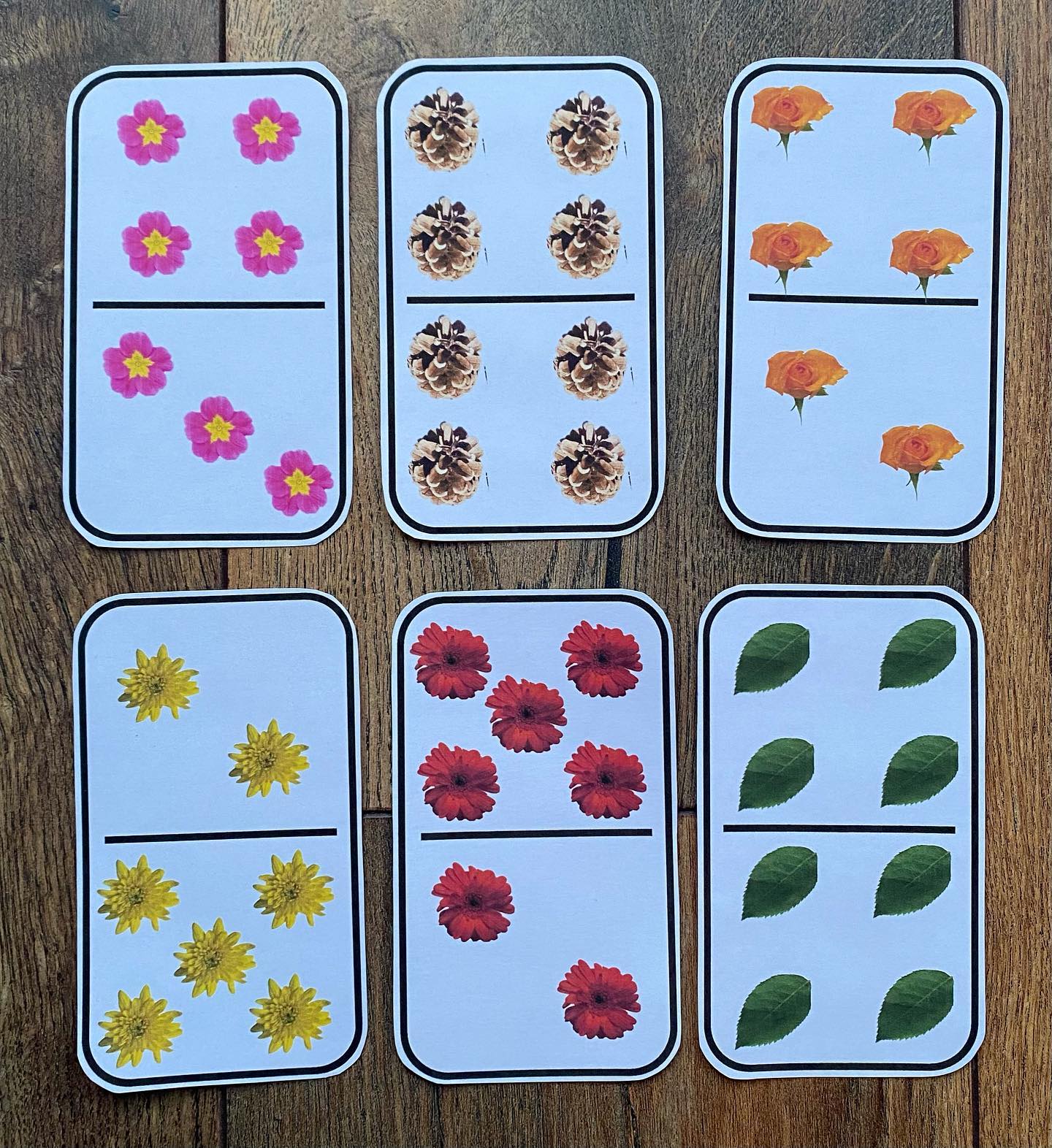 *NEW DOWNLOAD* Nature dominoes set.... - Earlyyearsoutdoor | Facebook