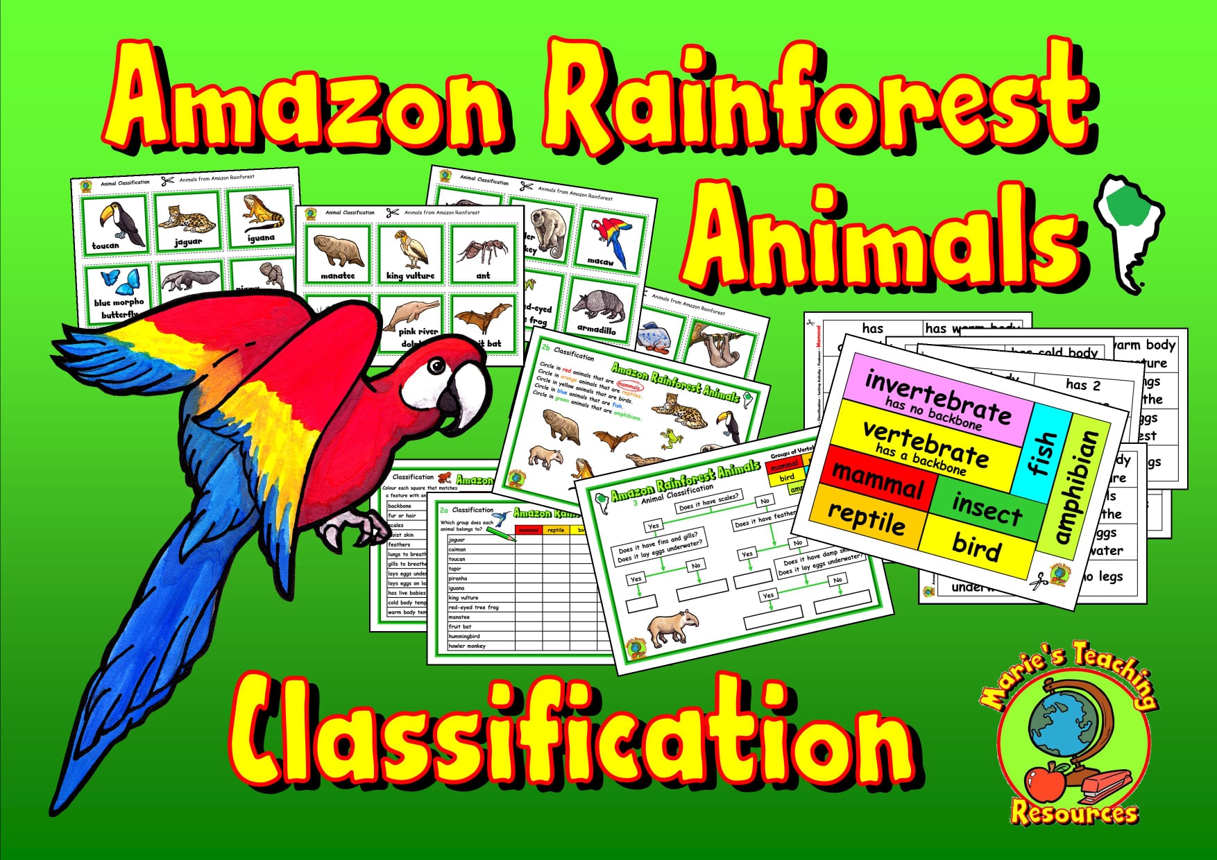 UPDATED :) Amazon Rainforest... - Marie's Teaching Resources | Facebook
