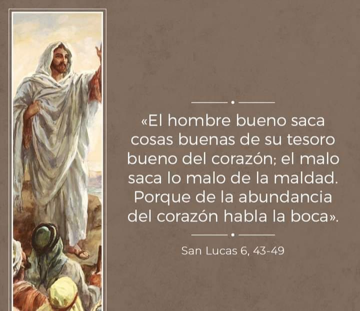 Leamos Atentamente El Evangelio Según San Lucas 6 43 49 🙏y