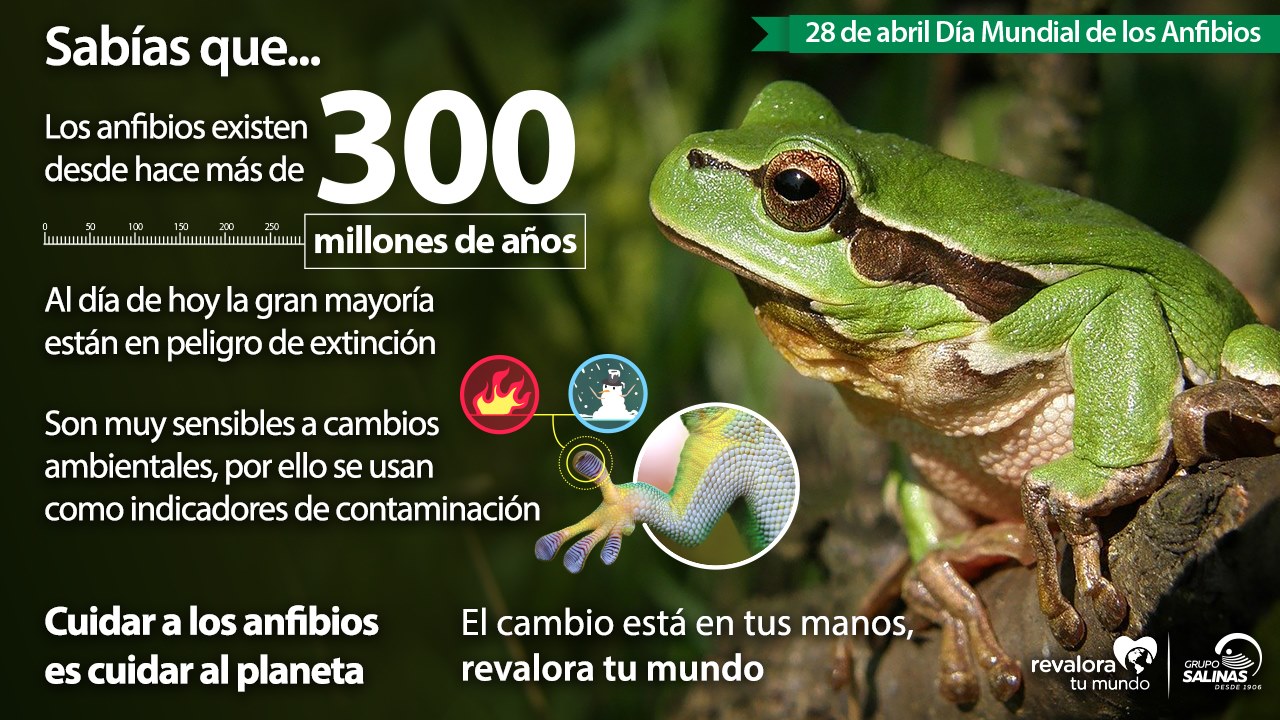 #SabiasQue Día... - O.P.M Infografía e Ilustración | Facebook