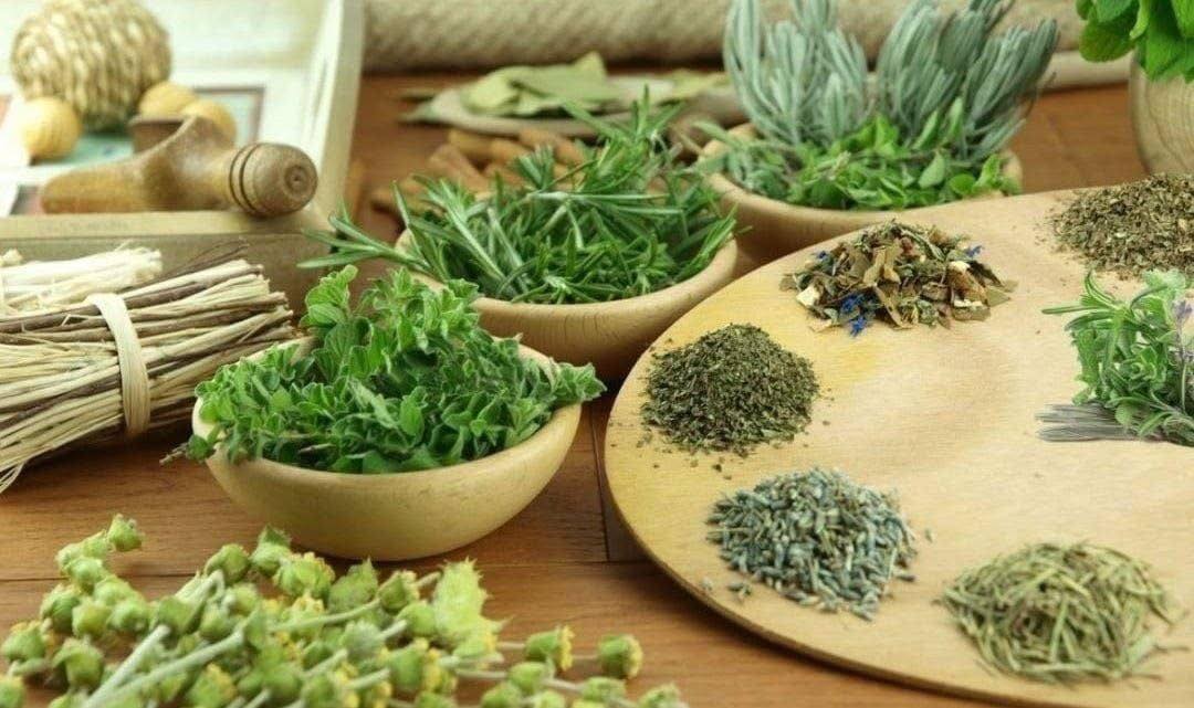 Kòy 🌿 𝐇𝐔̛𝐎̛́𝐍𝐆 𝐃𝐀̂̃𝐍 𝐁𝐀̀𝐈 𝐓𝐇𝐔𝐎̂́𝐂 𝐍𝐀𝐌 𝐇𝐎̂̃ 𝐓𝐑𝐎̛̣ Đ𝐈𝐄̂̀𝐔 𝐓𝐑𝐈̣ 𝐁𝐄̣̂𝐍𝐇 8088
