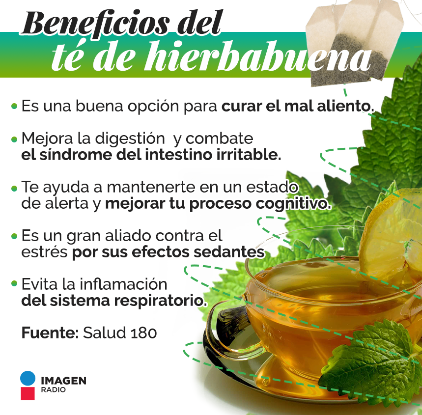 Beneficios De La Hierbabuena Te De Hierbabuena Beneficios 53 Off