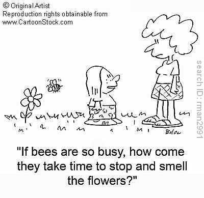 English Idioms in Stories