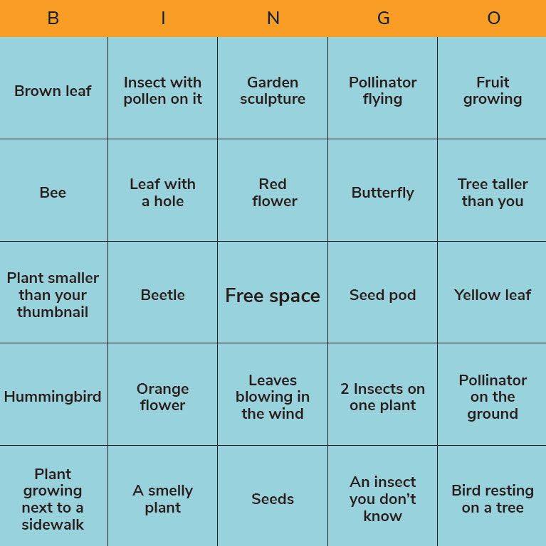 🎉🦋 Kids' Corner:... - California Native Plant Society | Facebook