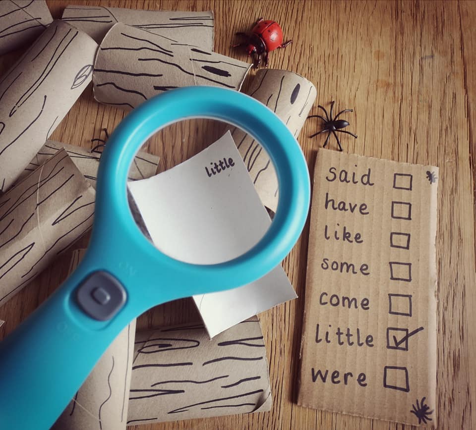 Phonics Family - 🦋Tricky Word Hunt🐞 🔍Set up like a... | Facebook