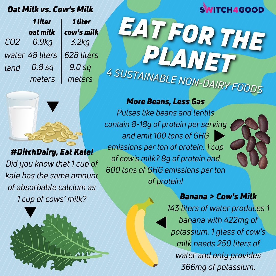 Switch4Good - It’s World Environment Day! 🌎🌲⛰ We want to... | Facebook