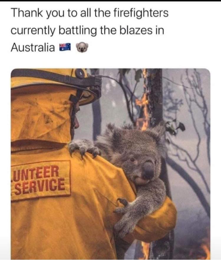 Kellie Panther 7695