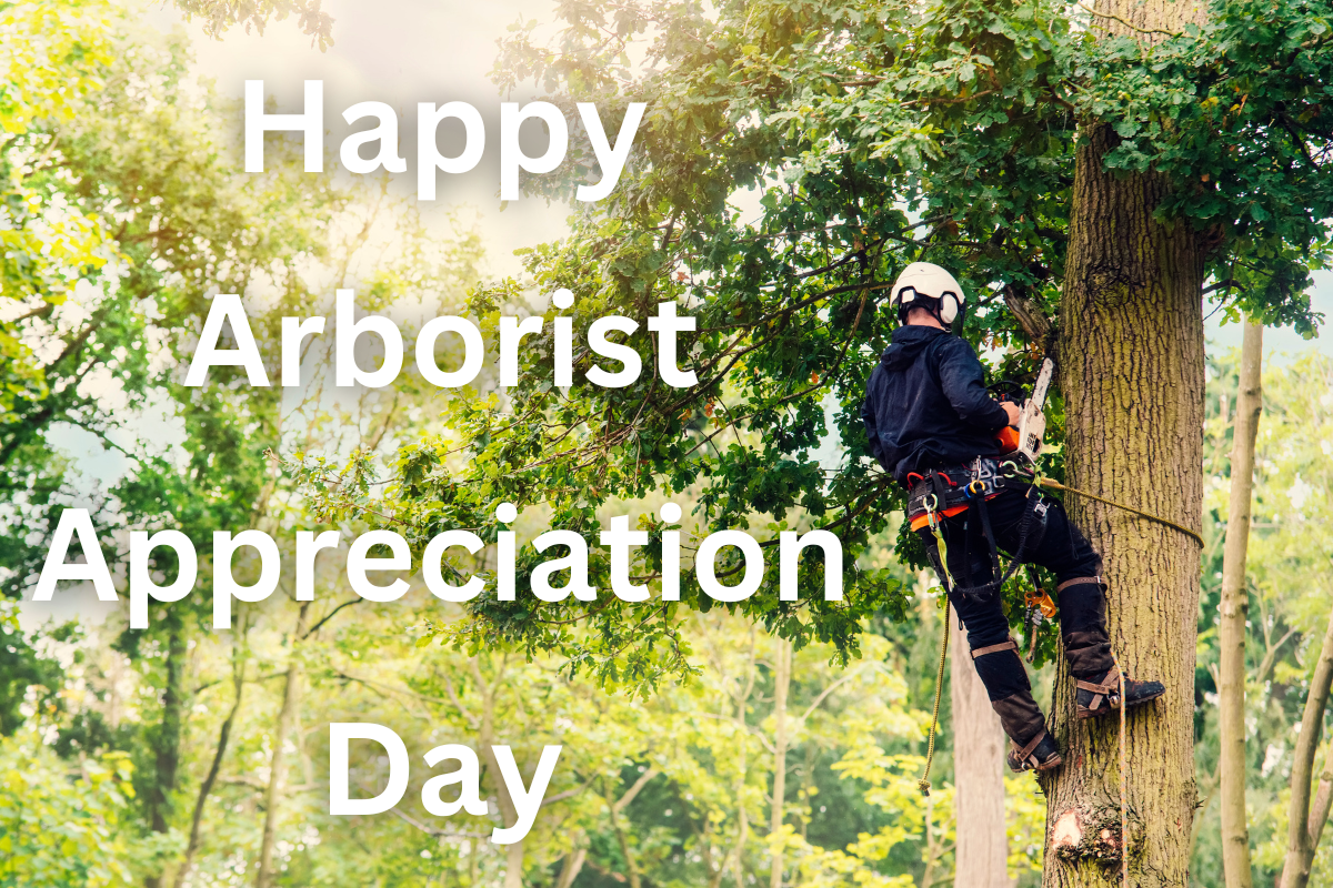 Happy #ArboristAppreciationDay to all those hardworking heroes, thank ...
