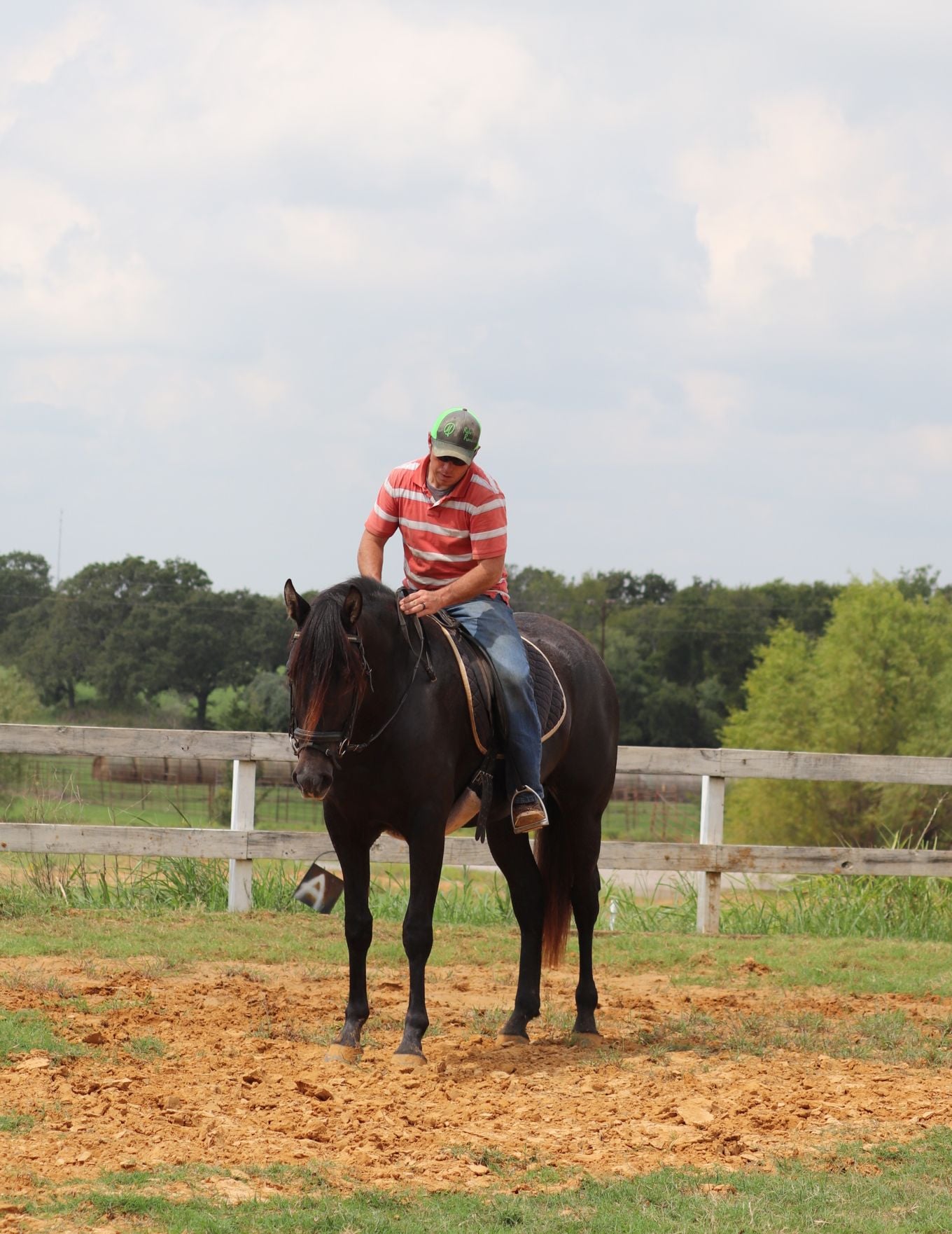 Bridled Passion Dressage Cleburne Tx