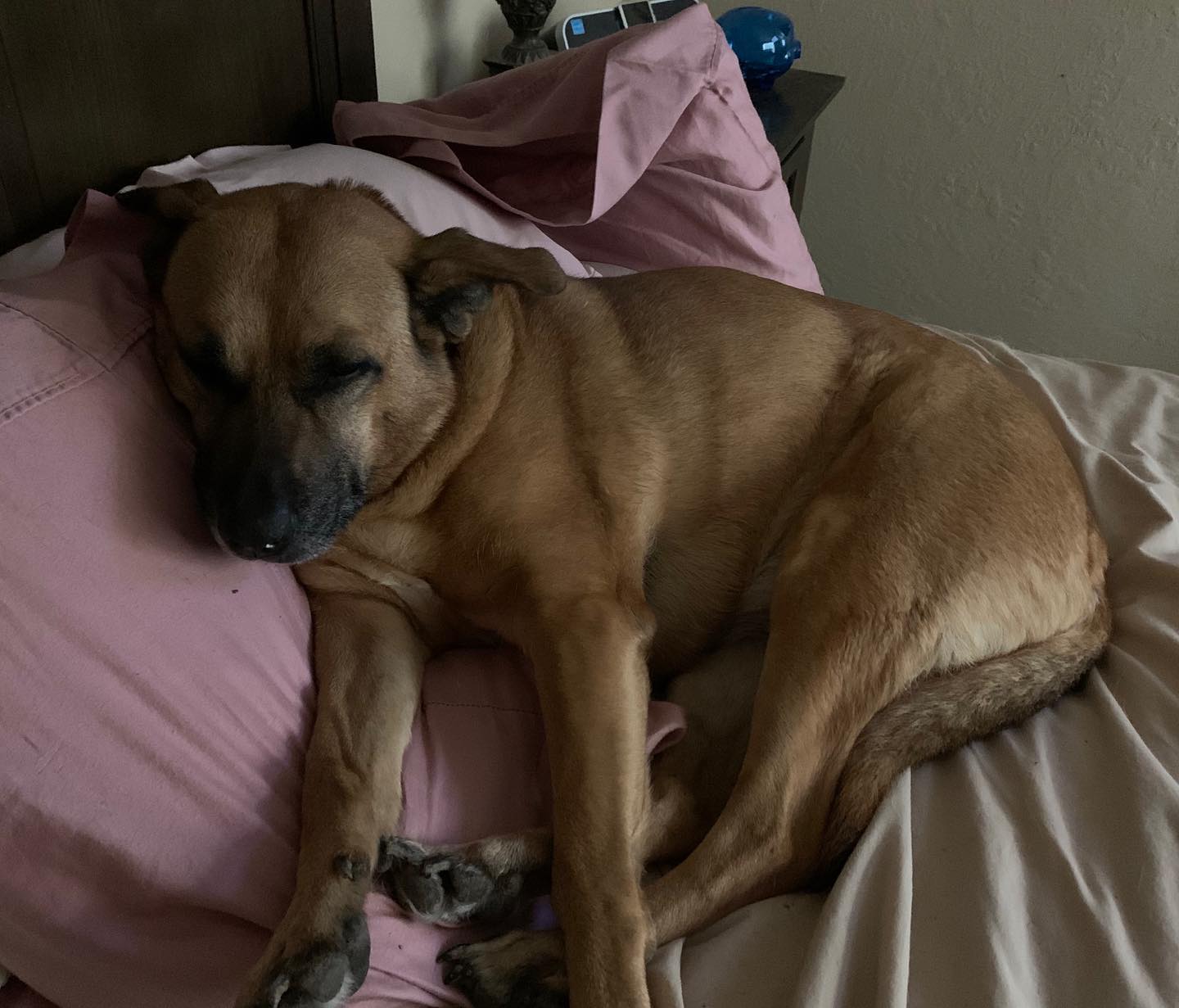 Catherine Grimes Music Its Really Her Bed She Just Lets Me Sleep In