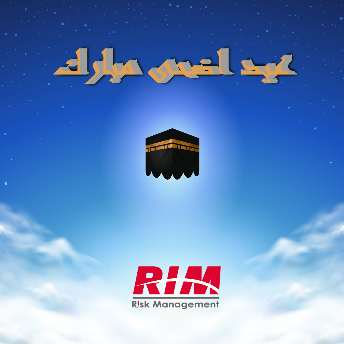 Rim Risk Management 8880