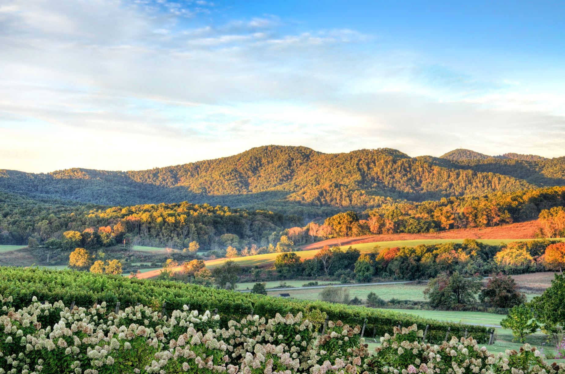 Virginia Conservation Network