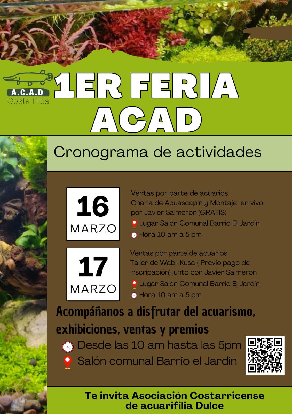 acuarios.desdecostarica.com - Buenas Tardes¡¡¡¡¡ Estas imagenes es una ...