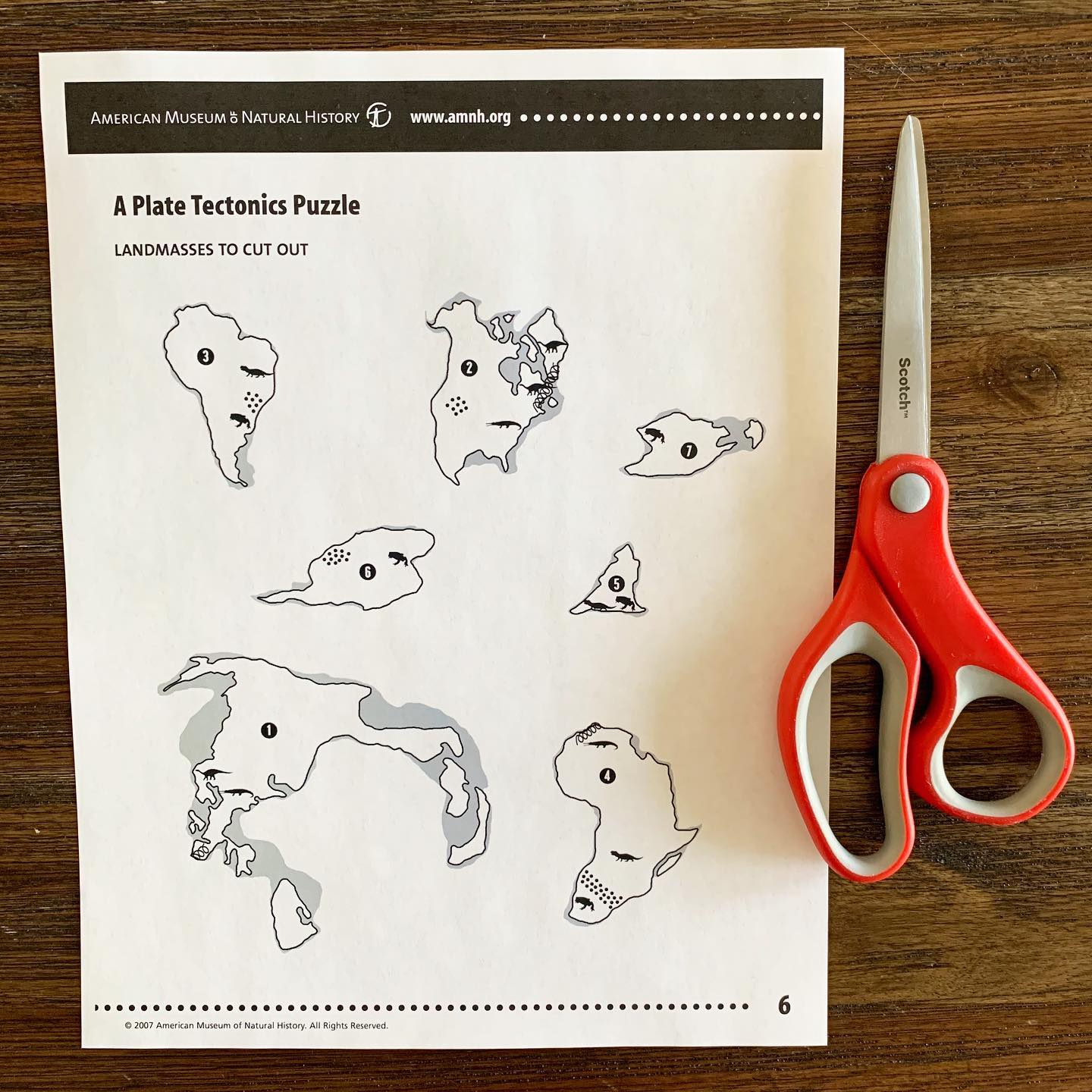 🌎 Here is a free printable... - Science Lessons That Rock | Facebook