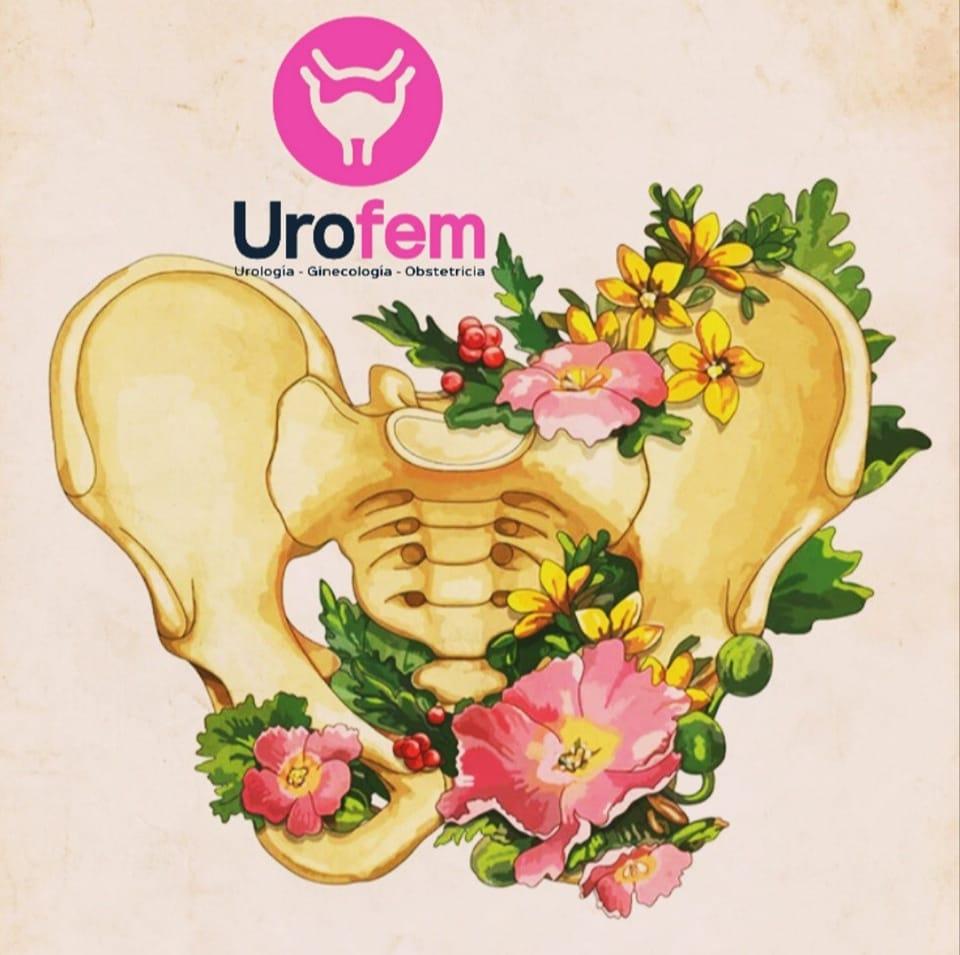 Clínica De Urología Femenina Dras Araniva San Miguel 6571