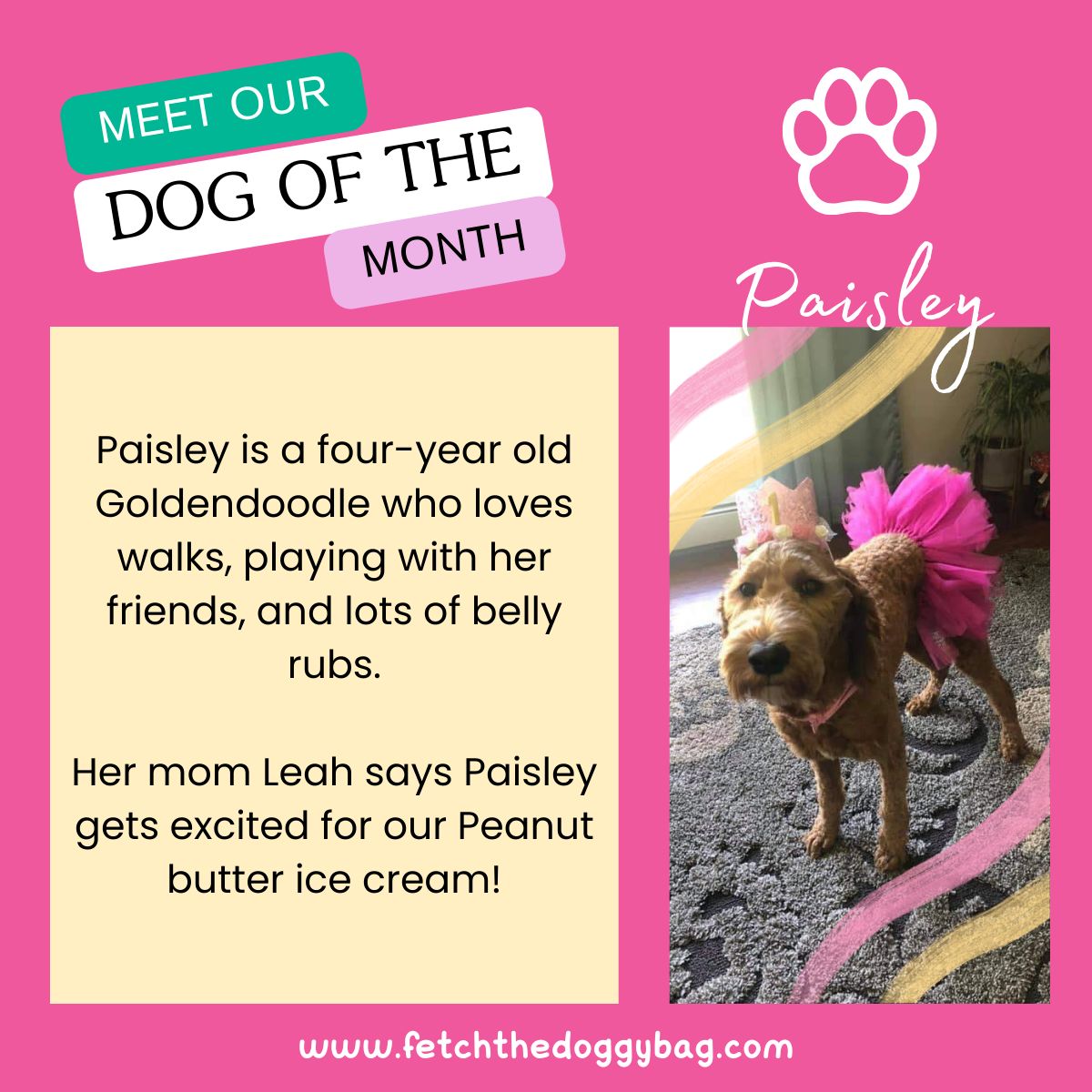 The Doggy Bag - 🎉 Congratulations to Paisley and her mom...