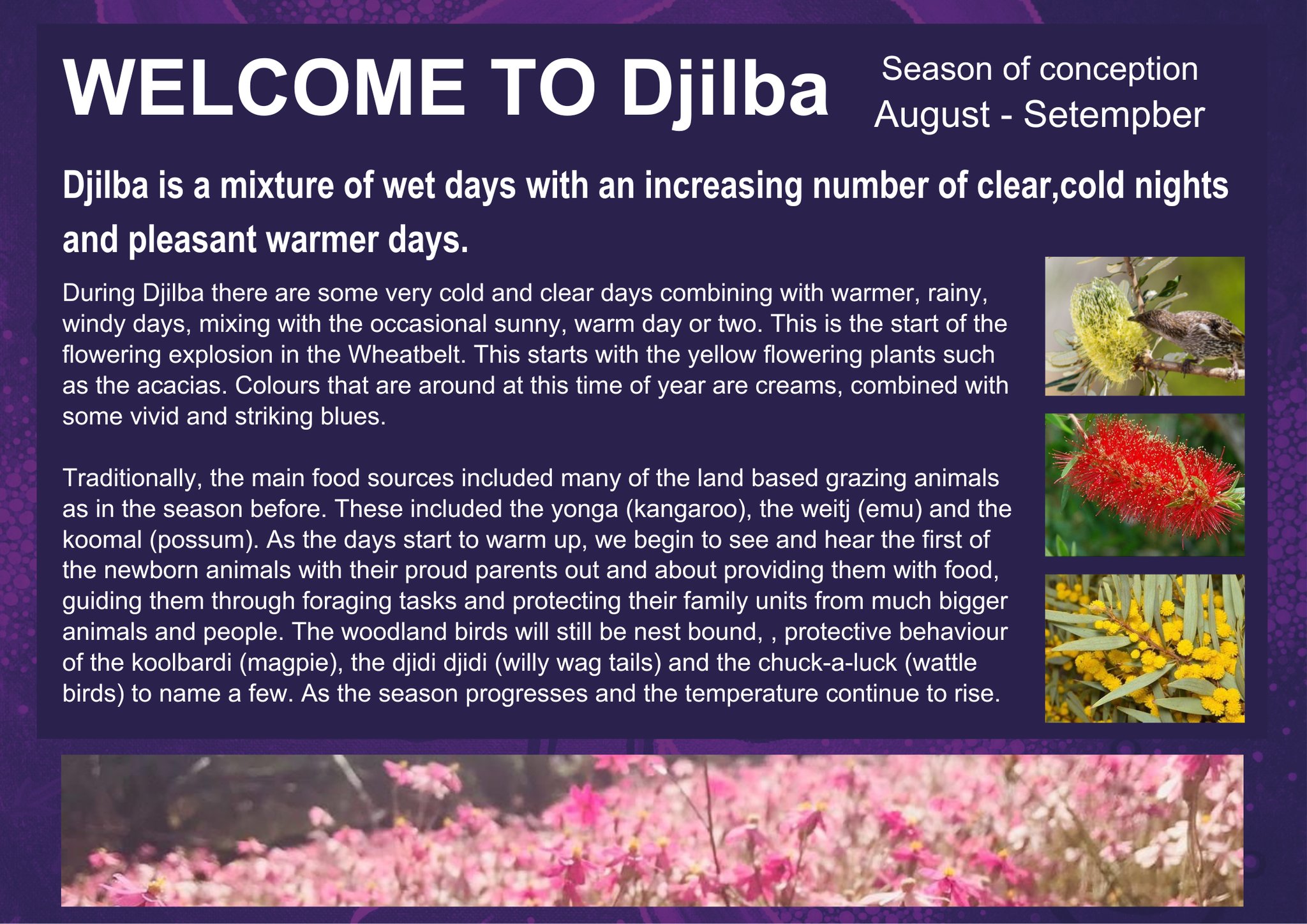 Shire - • Welcome to Djiba Season • The Noongar seasonal calendar ...