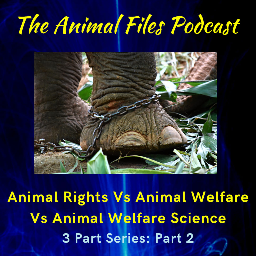 What is the difference between animal rights and animal welfare? Where ...