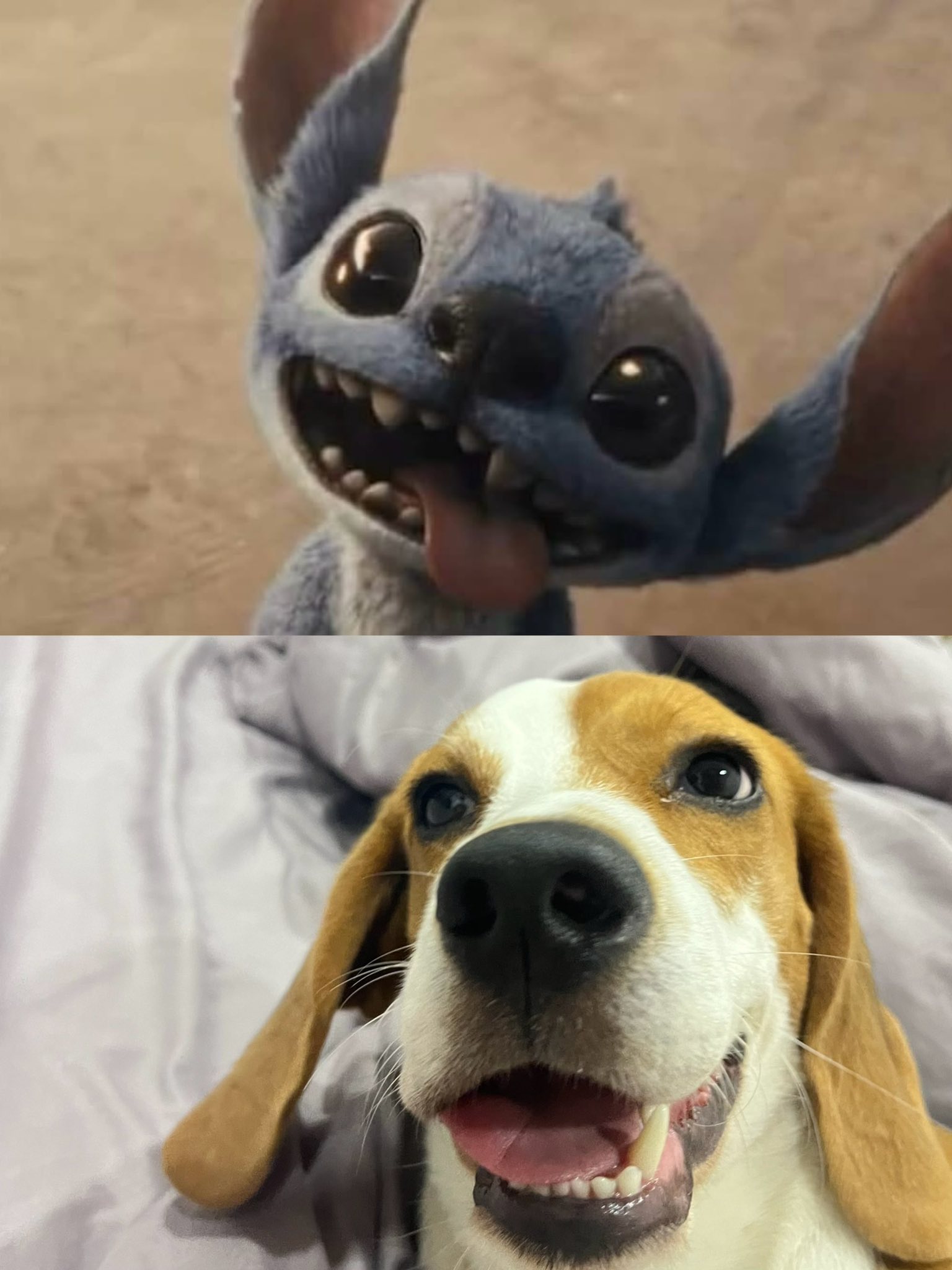 Ta Putita