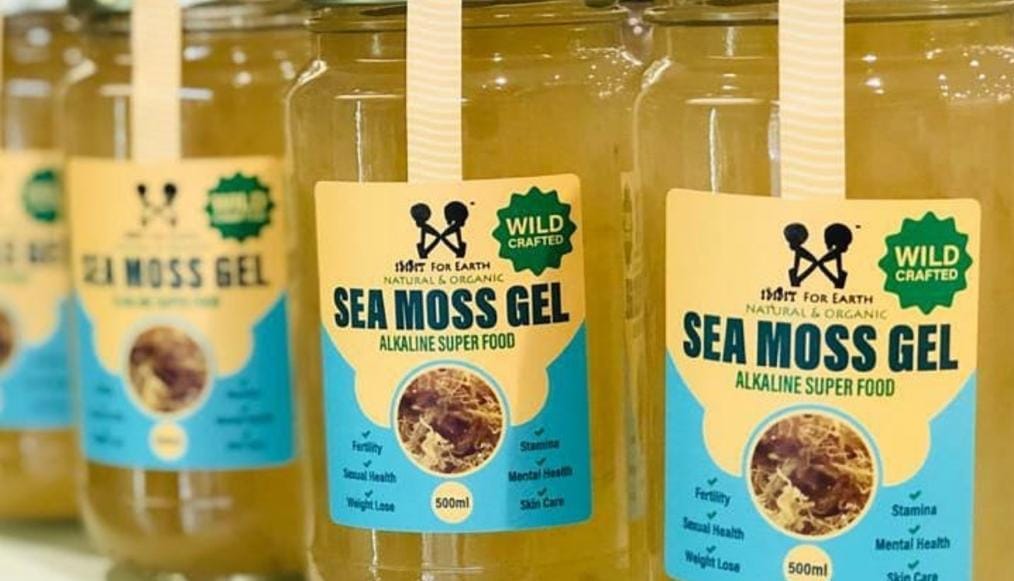 Sea Moss Supplier South Africa Johannesburg 6677